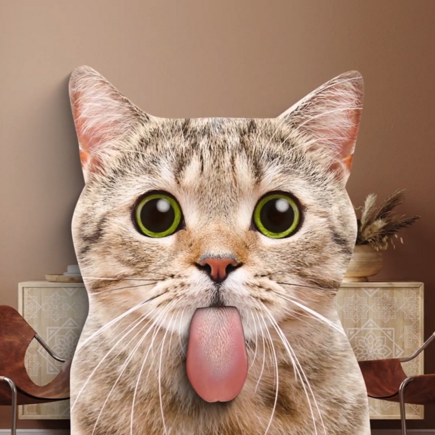 L'aventure du français